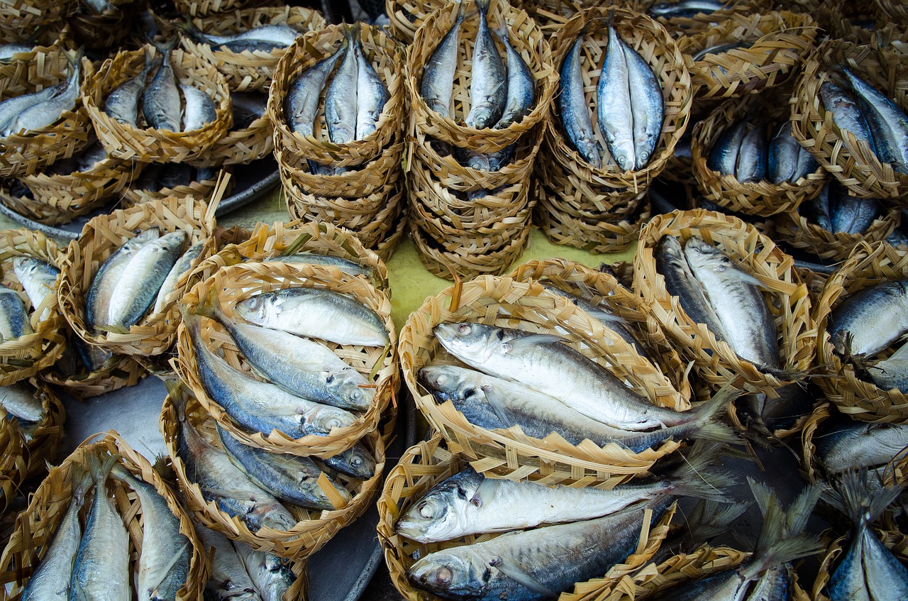 Good Fish, Bad Fish – Methodist Life